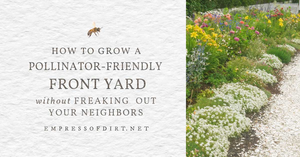 How to Grow a Pollinator-Friendly Front Garden Without Freaking Out ...
