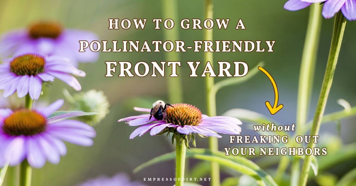 How to Grow a Pollinator-Friendly Front Garden Without Freaking Out ...