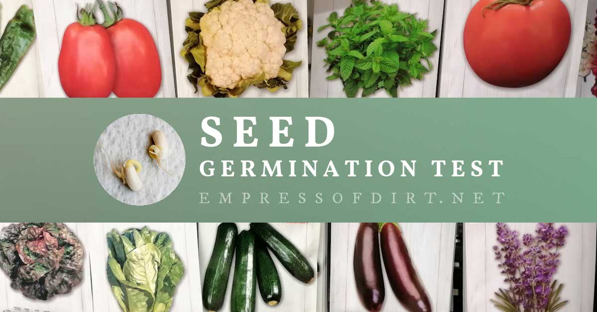 How To Check If Seeds Are Viable (Home Germination Test)