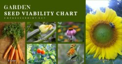 Seed Viability Chart: How Long Seeds Last in Storage