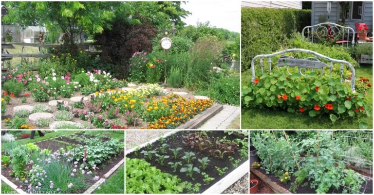 25 Vegetable Garden Design & Layout Ideas (With Photos)