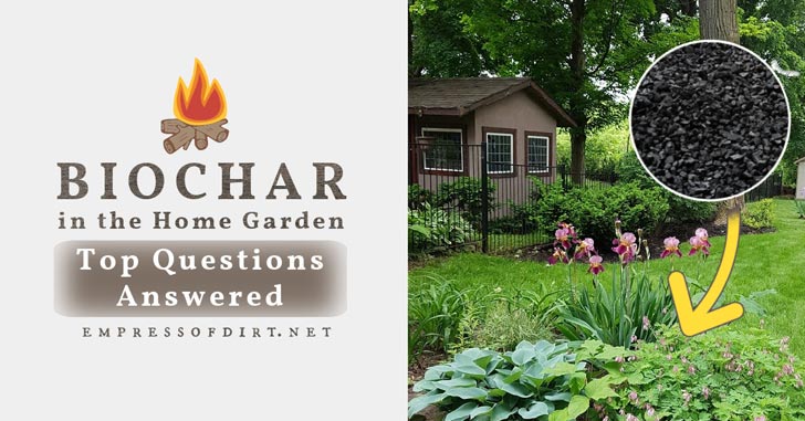 Using Biochar as a Soil Amendment (Pros and Cons)