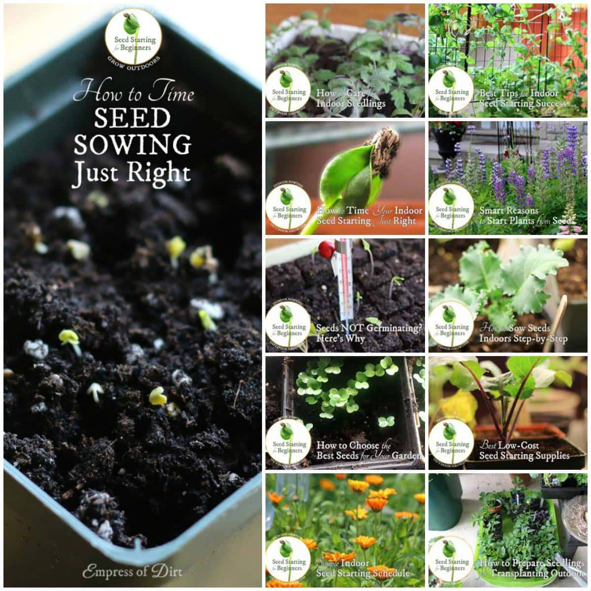 How to Time Your Indoor Seed Sowing Just Right | Empress of Dirt