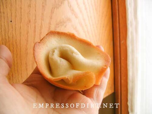 How to Make Fortune Cookies (Recipe) — Empress of Dirt