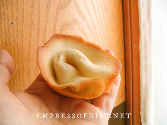 How to Make Fortune Cookies (Recipe) — Empress of Dirt