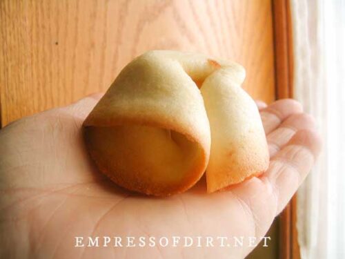 How to Make Fortune Cookies (Recipe) | Empress of Dirt