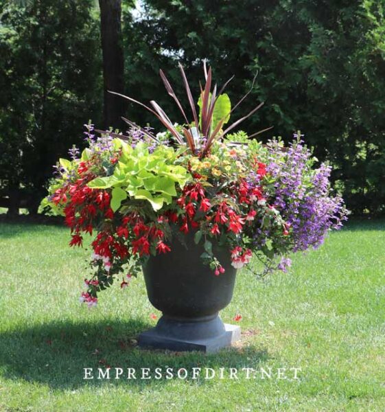 Big Colorful Flower Pot Ideas for Home Gardens