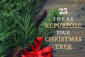 25 Creative Ways to Reuse Christmas Trees | Empress of Dirt