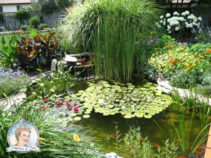 20 Beautiful Backyard Pond Ideas For All Budgets