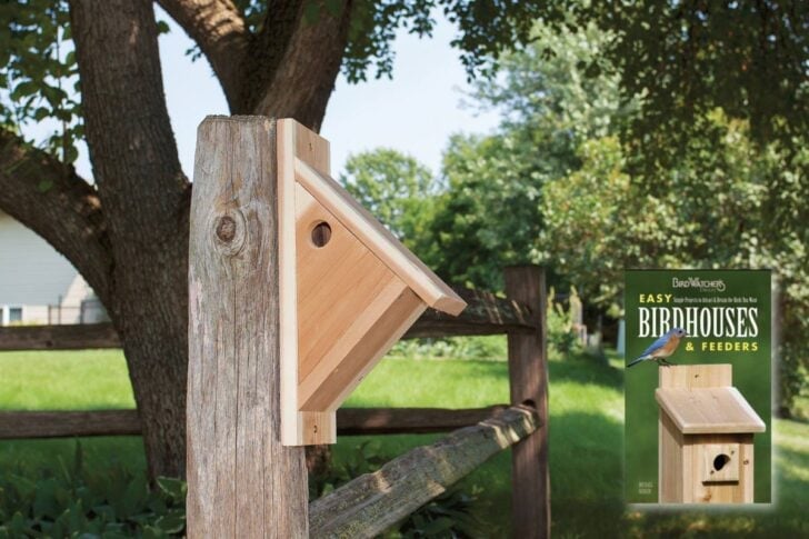Make a Chickadee Nesting Box (Free Plans) — Empress of Dirt