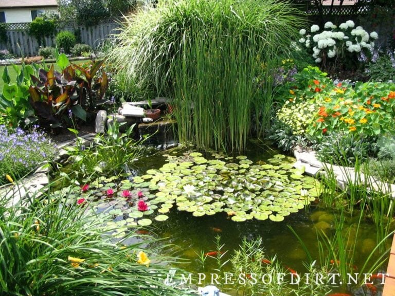20 Beautiful Backyard Pond Ideas for All Budgets