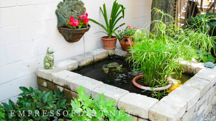 20 Beautiful Backyard Pond Ideas for All Budgets