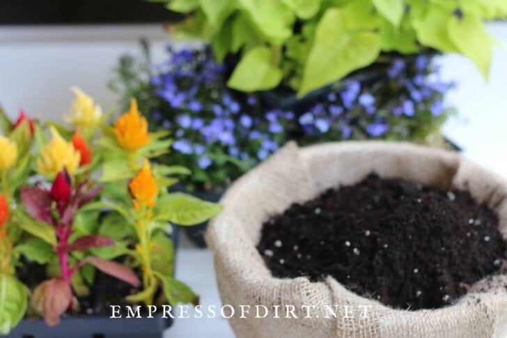 12 Uses for Burlap in the Garden (Practical, Craft, & Décor Ideas)