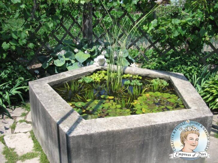 20 Beautiful Backyard Pond Ideas For All Budgets