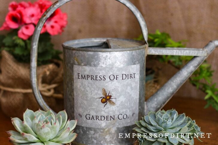 20 Creative Watering Can Garden Art Ideas — Empress of Dirt