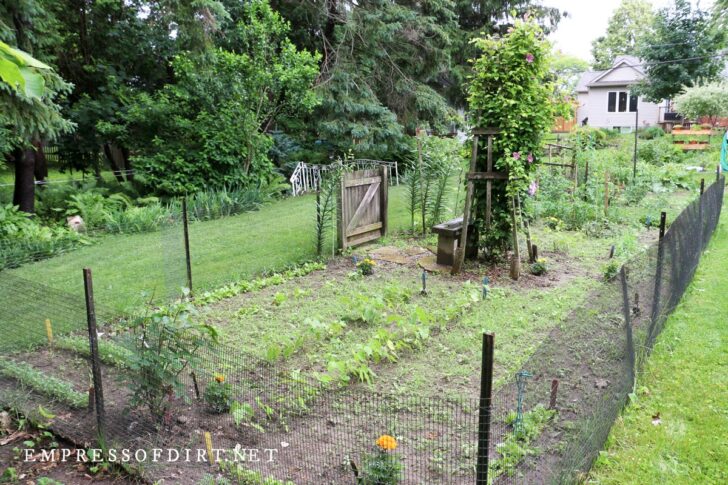25 Vegetable Garden Design & Layout Ideas (With Photos)