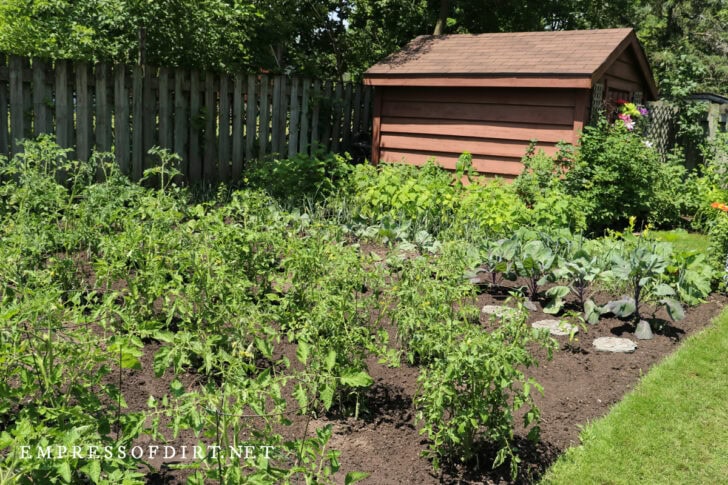 25 Vegetable Garden Design & Layout Ideas (With Photos)