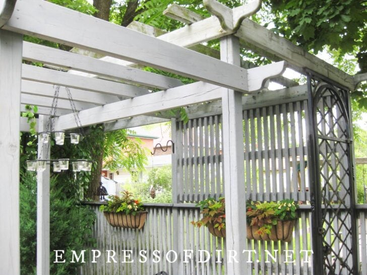 20 Ideas for Better Backyard Privacy — Empress of Dirt