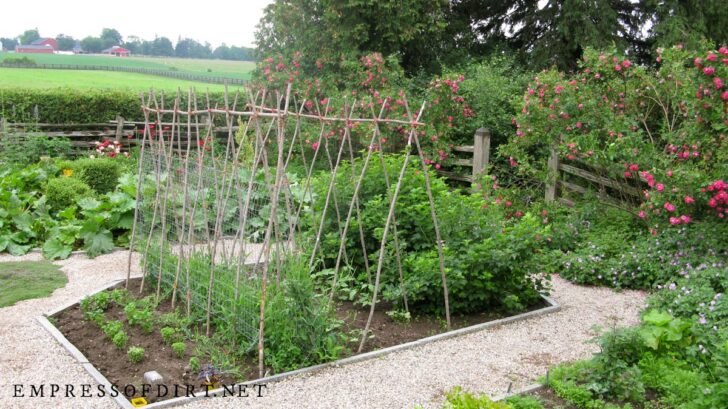 25 Vegetable Garden Design & Layout Ideas (With Photos)
