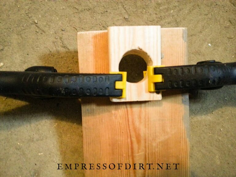 Make a House Wren Nesting Box (Free Plans)