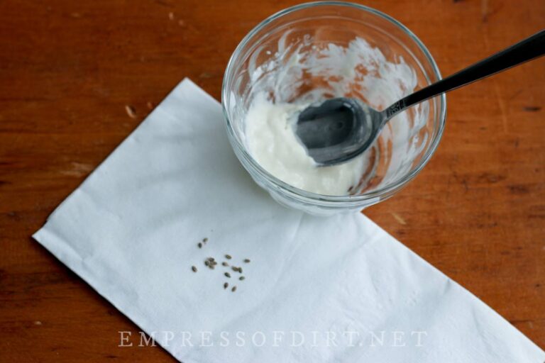 How to Make Seed Tapes for Better Tiny Seed Sowing — Empress of Dirt