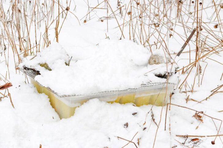 How To Compost In The Winter (Easy Method) — Empress of Dirt