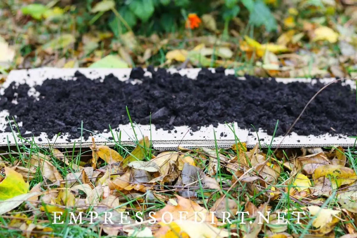 The Cardboard Method For Turning Lawn Into Garden Beds — Empress of Dirt