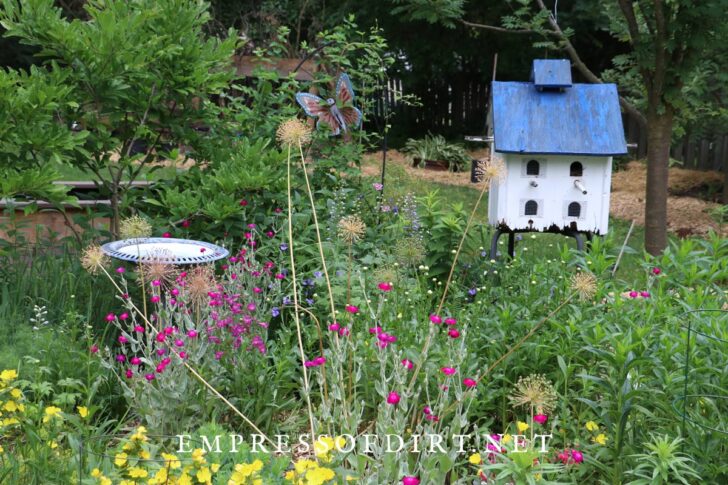 14 Delightful Early Summer Flowering Perennials — Empress of Dirt