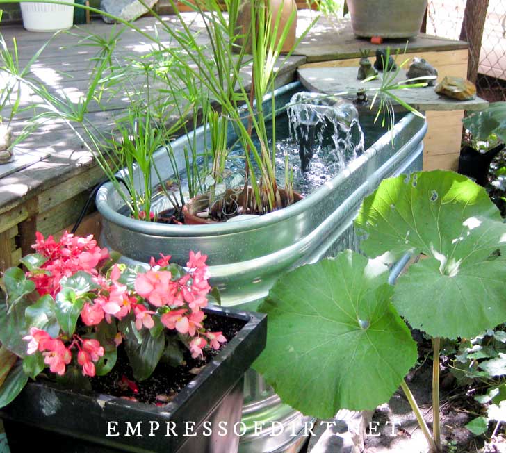 8 Charming Small Pond Ideas for Patios & Gardens — Empress of Dirt