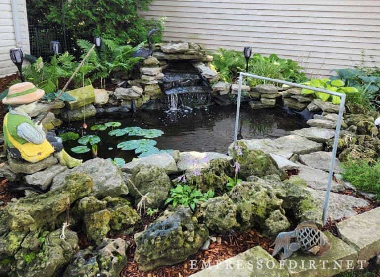 8 Charming Small Pond Ideas for Patios & Gardens