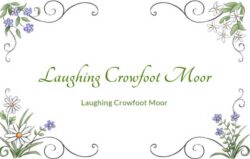 Garden Name Generator: What's Your Garden Name?