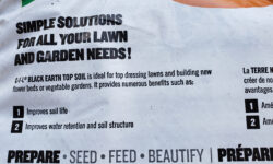 Buying Soil For Your Garden? Read This First