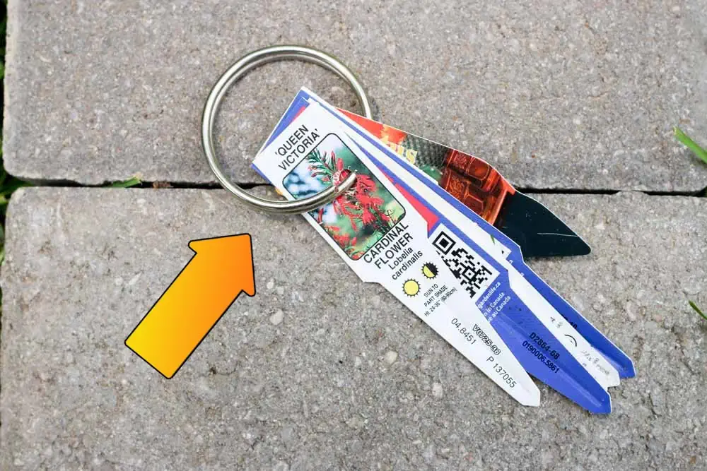 24 Practical Garden Hacks for Thrifty Gardeners | Empress of Dirt