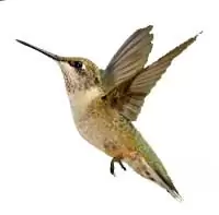 Gardening With Kids: 35 Playful & Practical Ideas