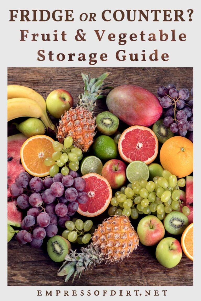 Fridge or Counter? Fresh Fruit & Vegetable Storage Tips