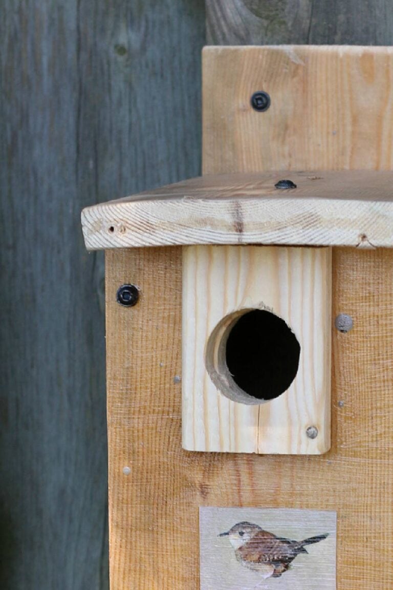 How to Protect Nesting Boxes With a DIY Predator Block