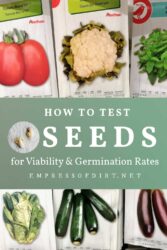 How To Check If Seeds Are Viable (Home Germination Test)