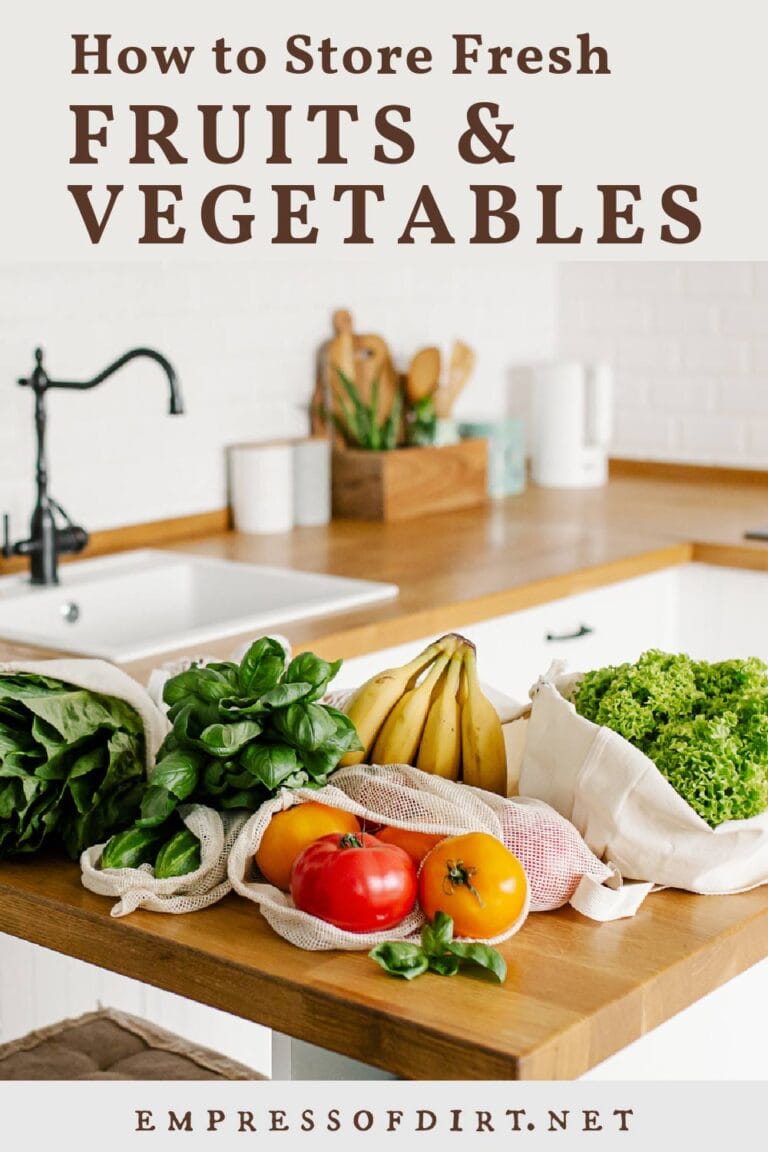 How to Store Fruits & Vegetable For Maximum Freshness