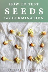 How to Test Seeds For Germination (Paper Towel Test)