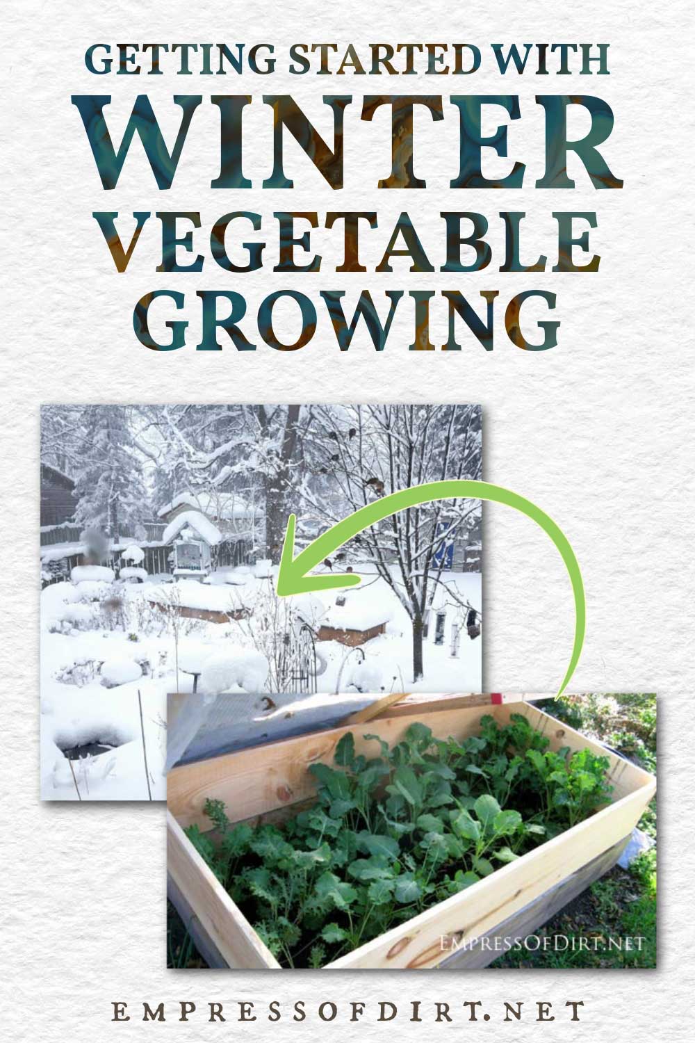 How To Grow Vegetables Outdoors in The Winter — Empress of Dirt