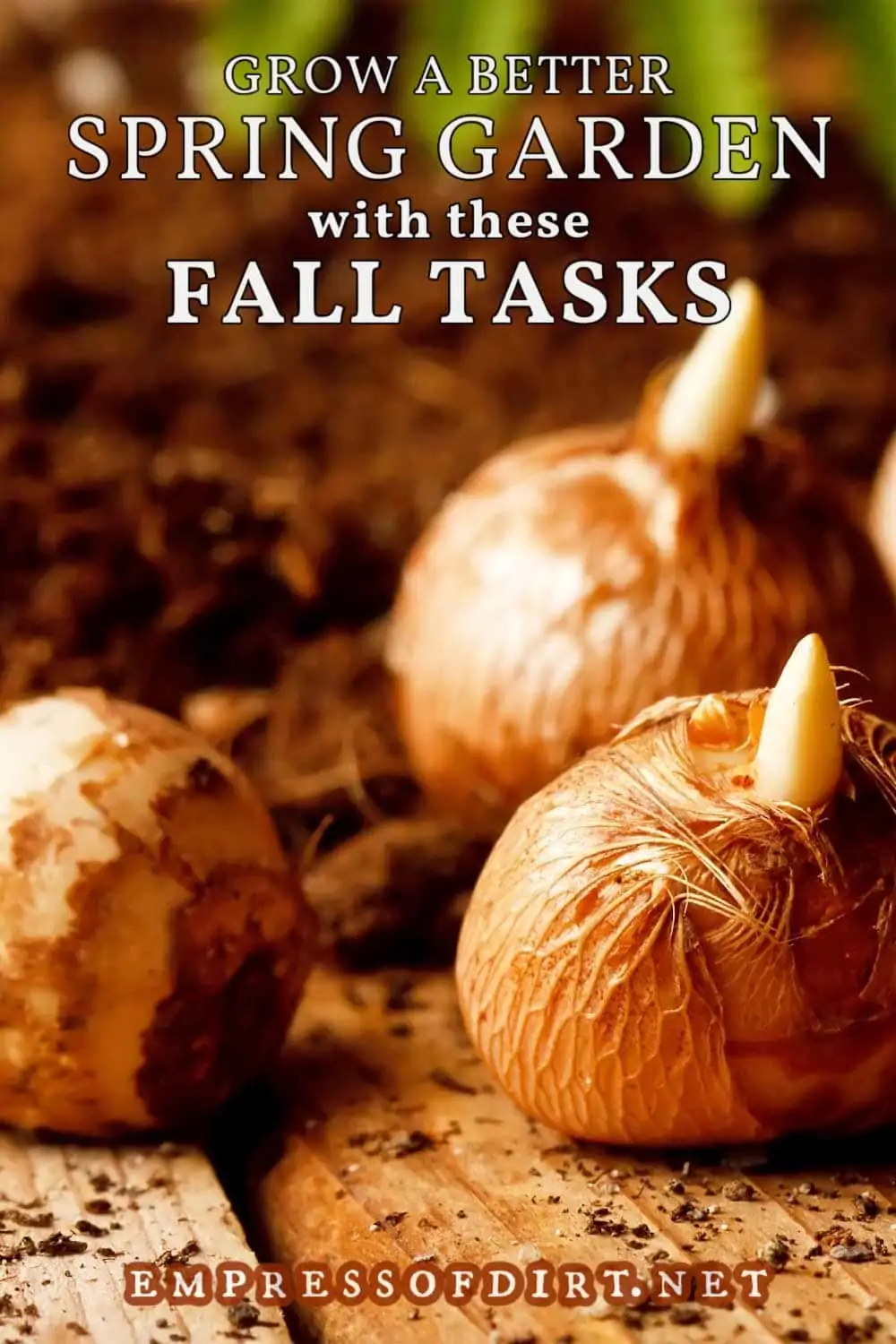 Get a Better Spring Garden With These Fall Tasks | Empress of Dirt