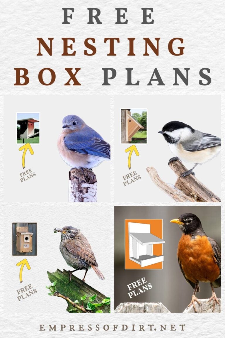 Free Nesting Box Building Plans for Wild Birds — Empress of Dirt
