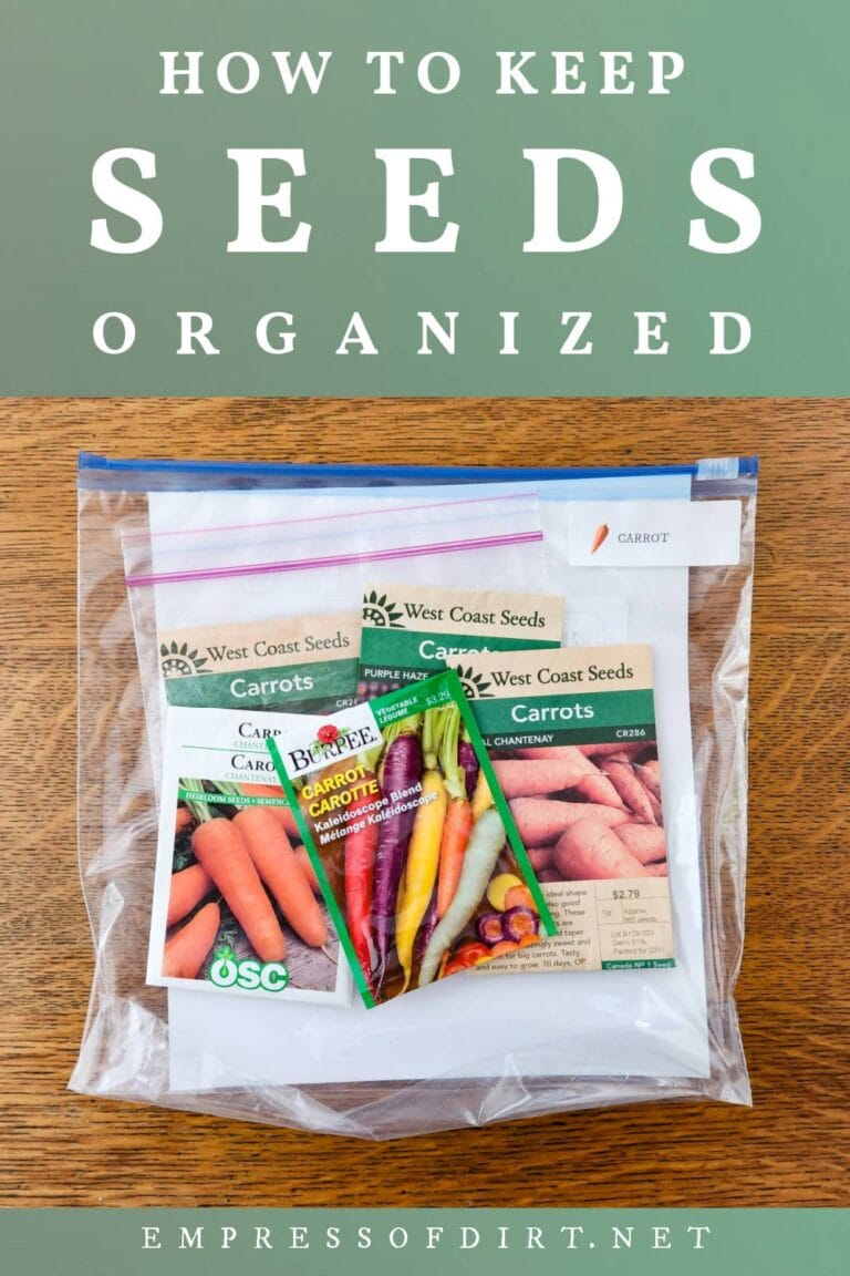 The Easiest Way to Keep Your Garden Seeds Organized