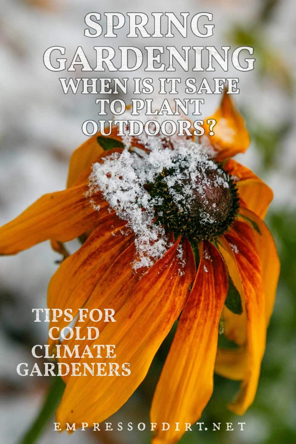 Spring Gardening: Is It Safe To Plant Outdoors Yet?