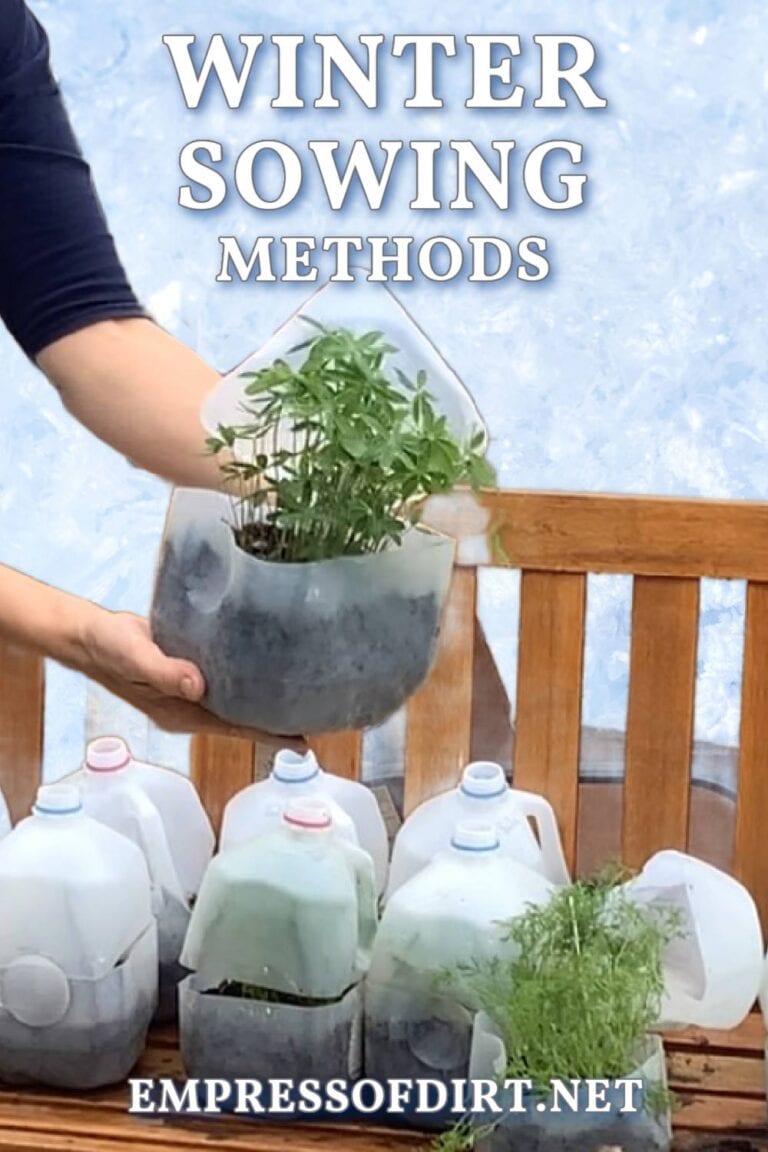 Winter Sowing: Two Reliable Methods for Outdoor Seed Starting