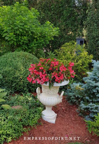 Big Colorful Flower Pot Ideas for Home Gardens