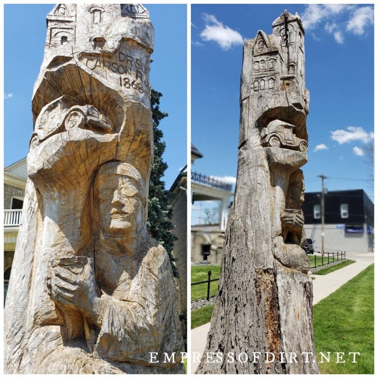 25 Creative Tree Stump Ideas for Backyard Gardens