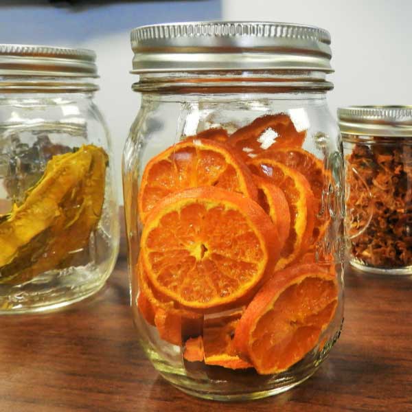 Cold Storage 101: Food Preservation Tips | Empress of Dirt