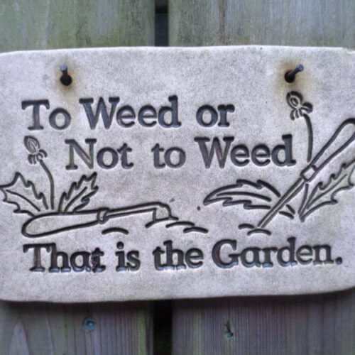 60 Garden Sign Ideas—Funny, Sweet, & Practical