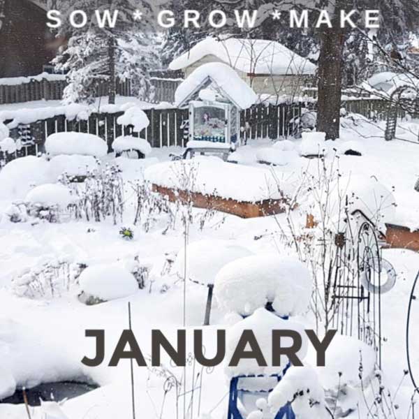 Understanding Frosts & Freezing: What Gardeners Need to Know for Gardeners